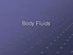 PPT - BODY FLUIDS: Cerebrospinal Fluid (CSF) PowerPoint Presentation ...