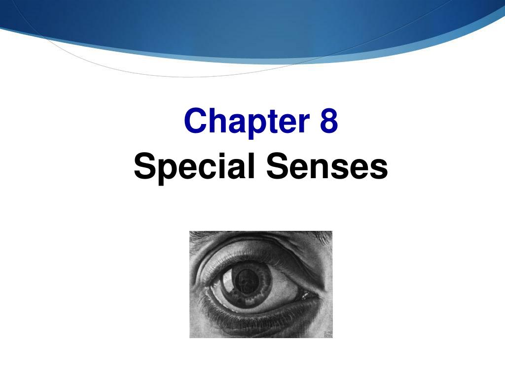 PPT - Chapter 8 Special Senses PowerPoint Presentation, free download ...