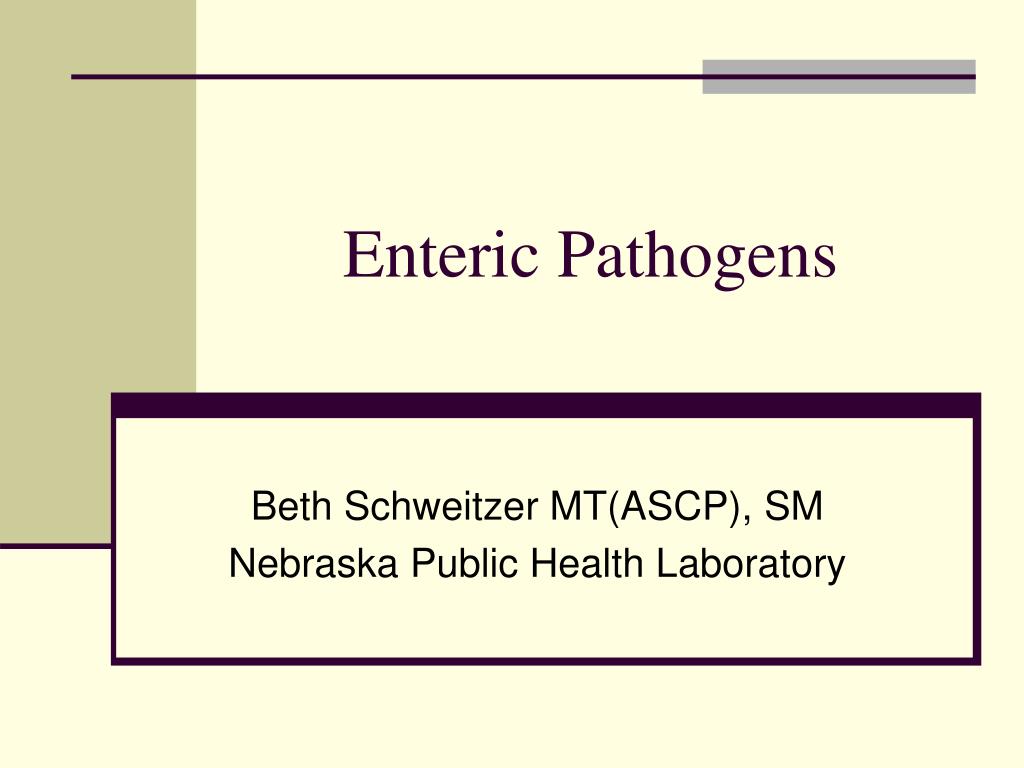 PPT - Enteric Pathogens PowerPoint Presentation, free download - ID:323520