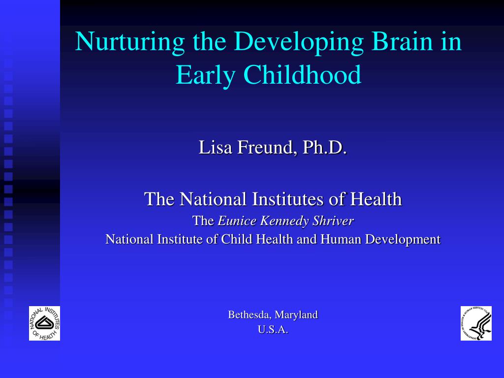 PPT - Nurturing the Developing Brain in Early Childhood PowerPoint Presentation - ID:324018