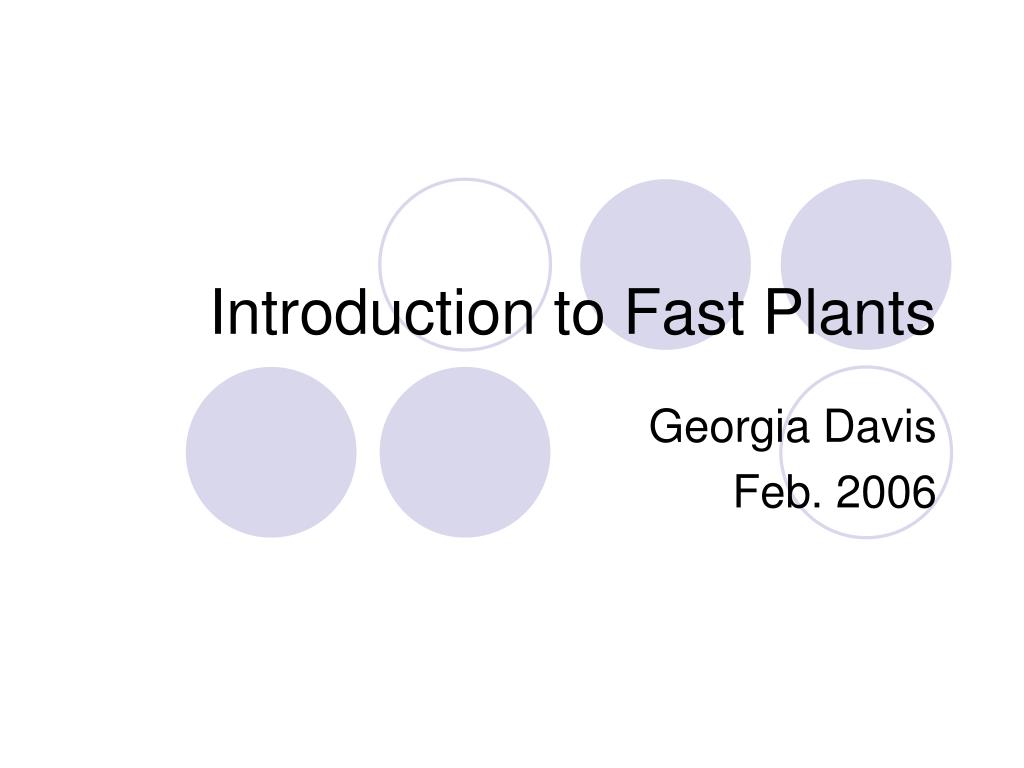 PPT - Introduction to Fast Plants PowerPoint Presentation, free ...