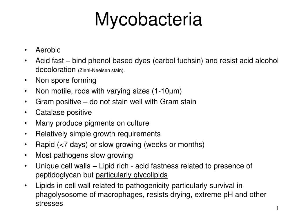 PPT - Mycobacteria PowerPoint Presentation, free download - ID:328083