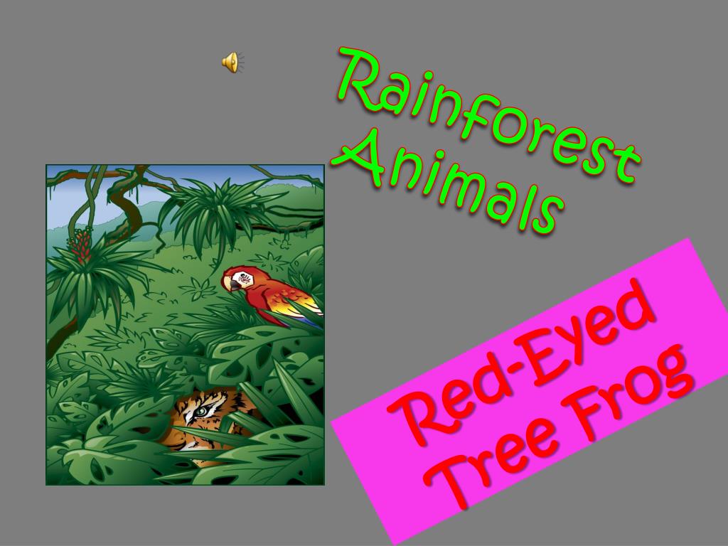 PPT - rainforest animals vinicius PowerPoint Presentation, free ...