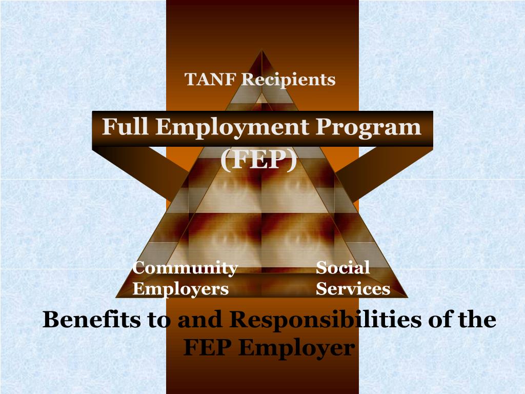 PPT - (FEP) PowerPoint Presentation, free download - ID:329899