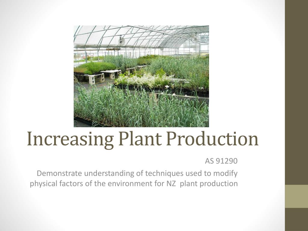 PPT - Increasing Plant Production PowerPoint Presentation, free ...