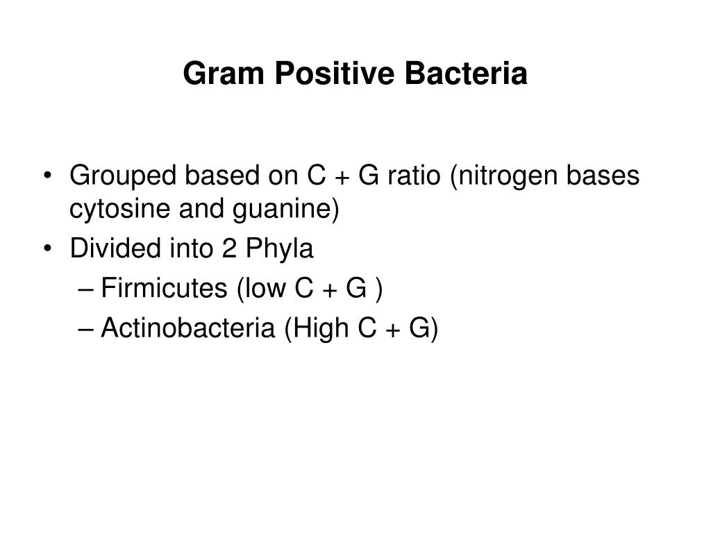 PPT - Gram Positive Bacteria PowerPoint Presentation, free download ...