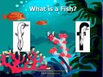 PPT - Strands of reflection: Fish, Twinn and Purr, 1990 and1991 ...