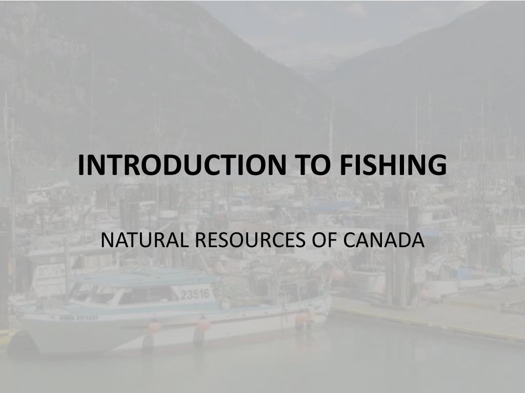 PPT - INTRODUCTION TO FISHING PowerPoint Presentation, free download ...