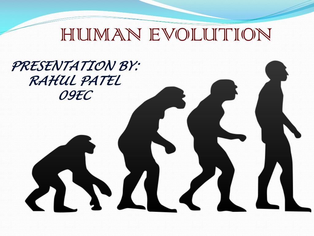 PPT - HUMAN EVOLUTION PowerPoint Presentation, free download - ID:333842
