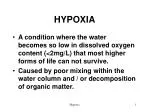 PPT - Types of Hypoxia PowerPoint Presentation, free download - ID:1378366