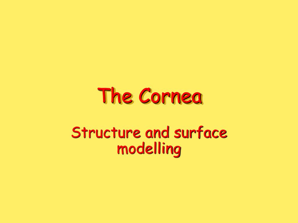 PPT - The Cornea PowerPoint Presentation, free download - ID:335030