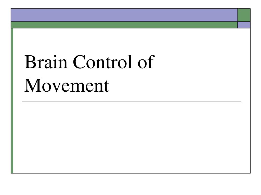 PPT - Brain Control of Movement PowerPoint Presentation, free download ...