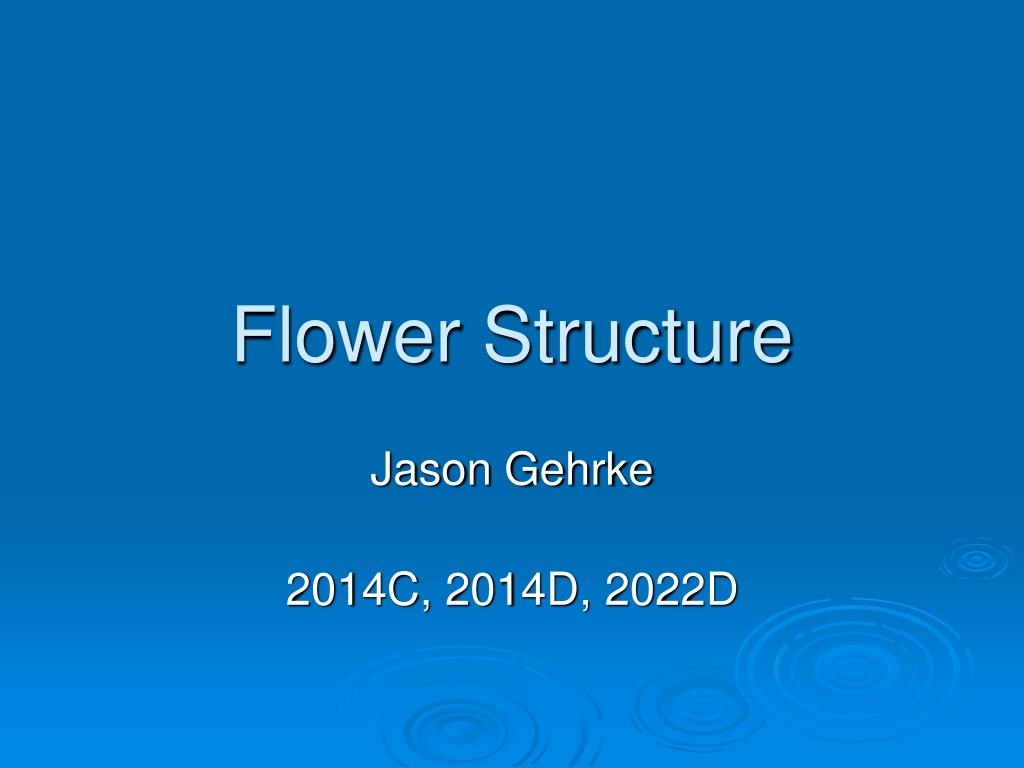 PPT - Flower Structure PowerPoint Presentation, free download - ID:336595