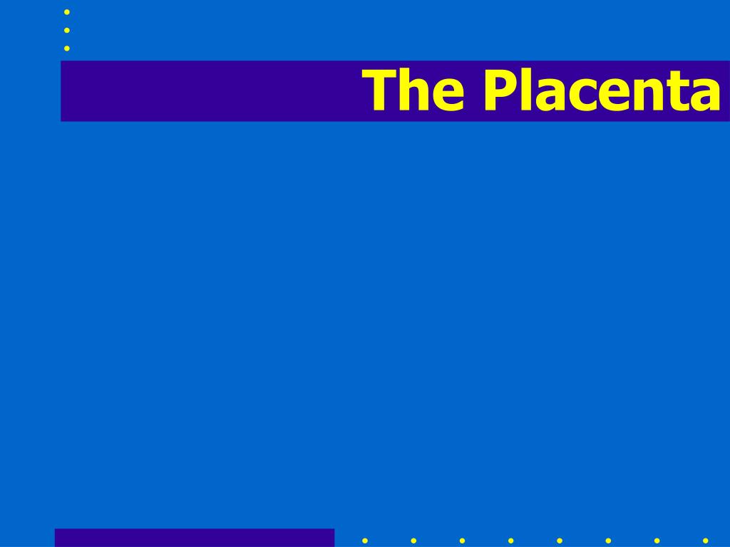 PPT - The Placenta PowerPoint Presentation, free download - ID:337038