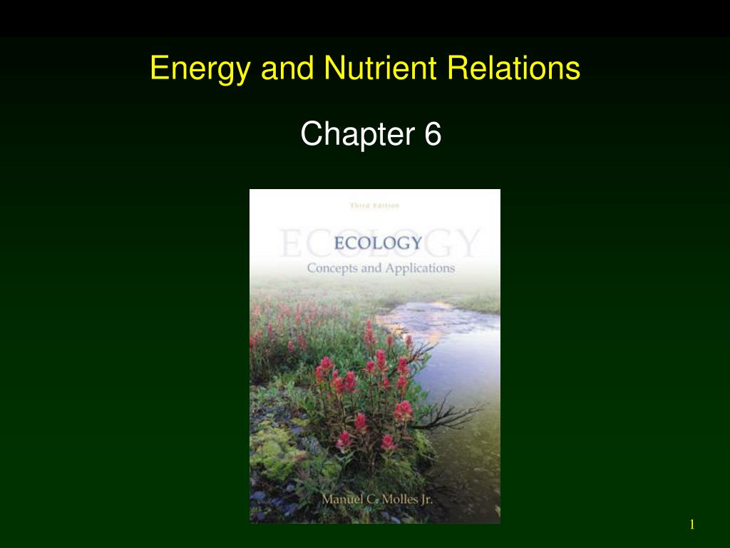 PPT - Energy and Nutrient Relations PowerPoint Presentation, free ...