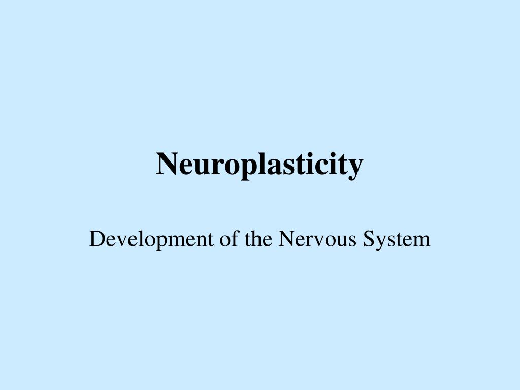 PPT - Neuroplasticity PowerPoint Presentation, free download - ID:338377