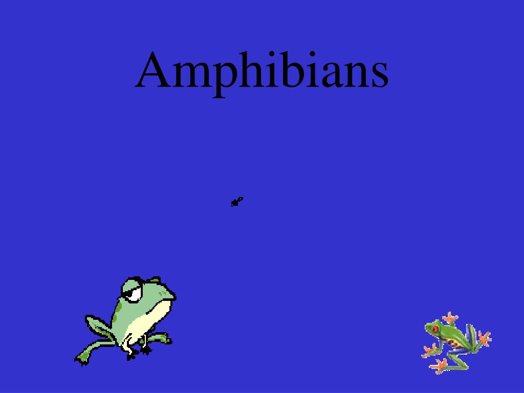 PPT - Amphibians PowerPoint Presentation, free download - ID:341906