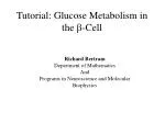 PPT - Redox Reactions in Metabolism: Standard reduction potentials ...