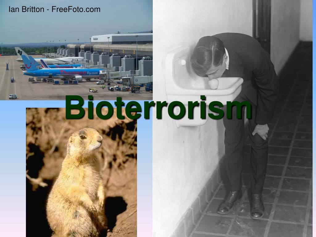PPT - Bioterrorism PowerPoint Presentation, free download - ID:342882