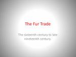 PPT - The fur Trade Era, 1770s-1849 PowerPoint Presentation, free ...