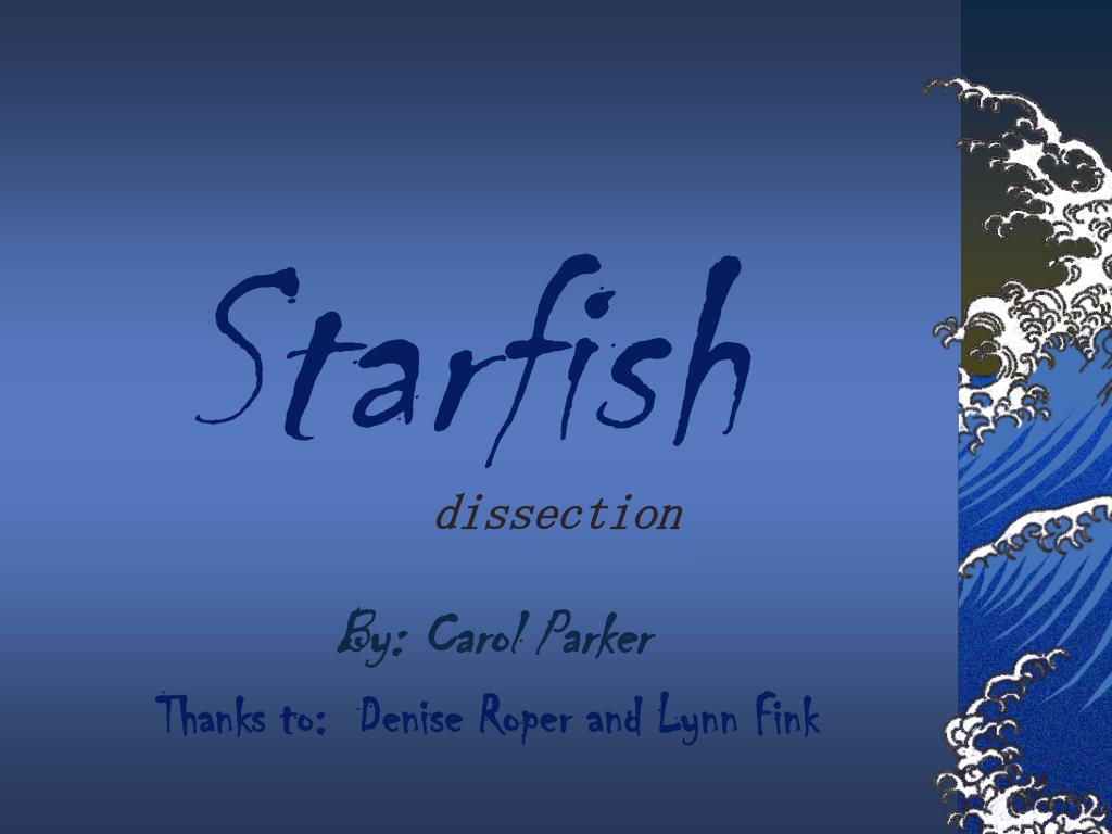 PPT - Starfish PowerPoint Presentation, free download - ID:34474
