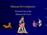 PPT - Chapter 3: Child Development PowerPoint Presentation, free ...