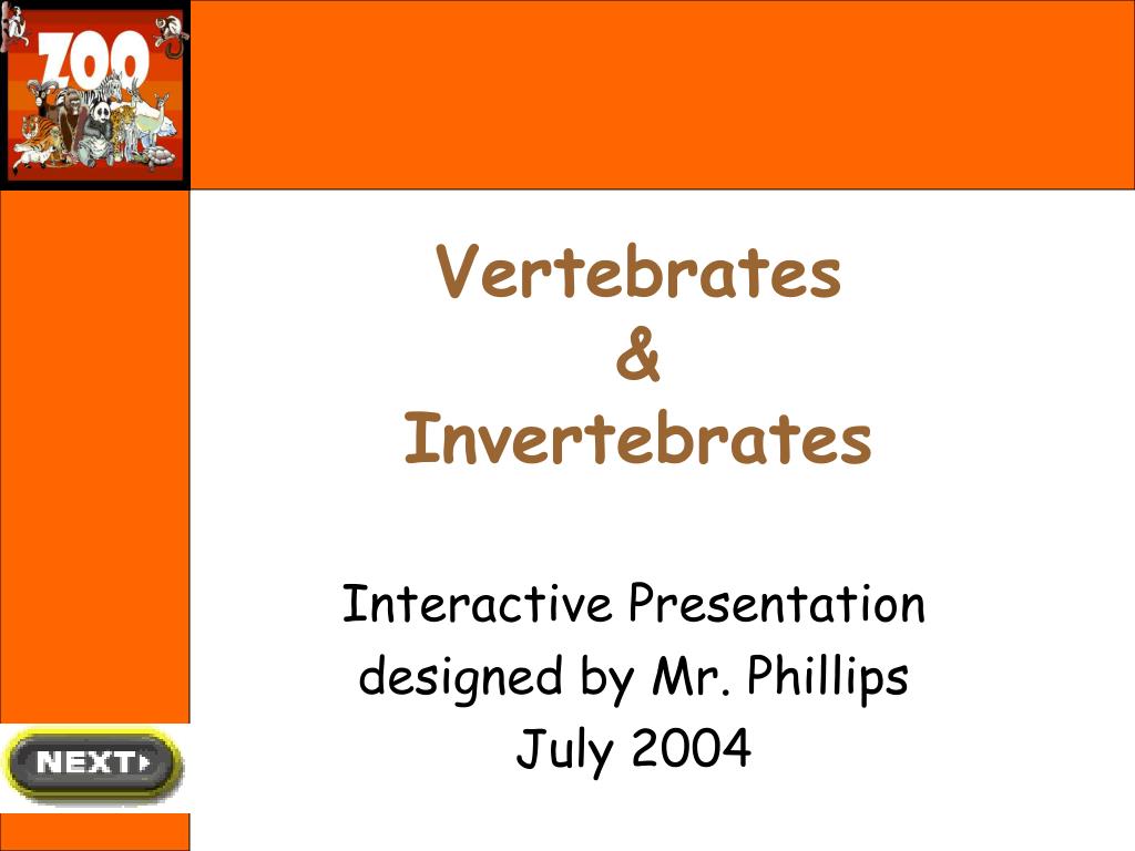 PPT - Vertebrates & Invertebrates PowerPoint Presentation, free ...