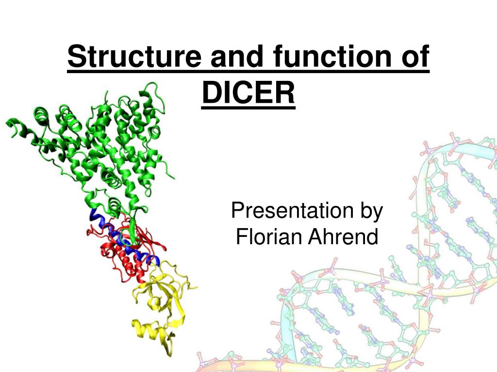 PPT - Structure and function of DICER PowerPoint Presentation, free ...