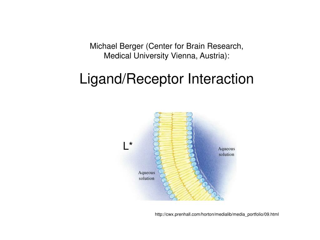 PPT - cwx.prenhall/horton/medialib/media_portfolio/09.html PowerPoint ...