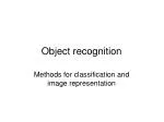 PPT - Chapter 4: Object Recognition PowerPoint Presentation, free download - ID:345750