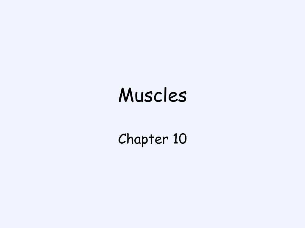PPT - Muscles PowerPoint Presentation, free download - ID:350227