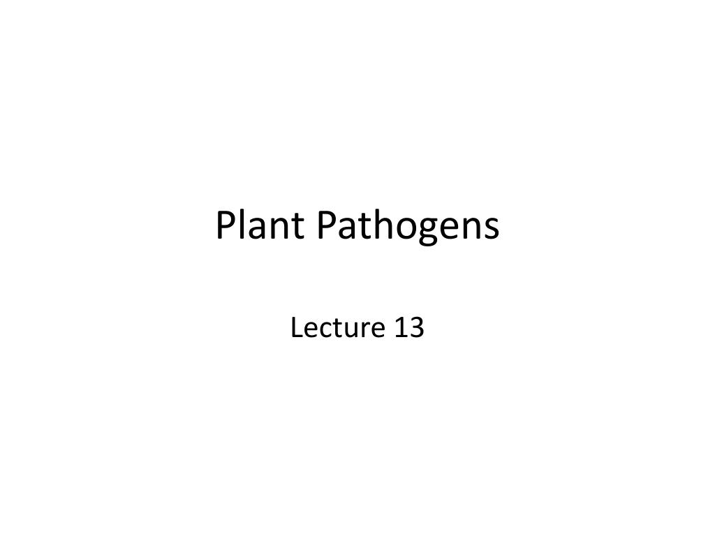 PPT - Plant Pathogens PowerPoint Presentation, free download - ID:351119