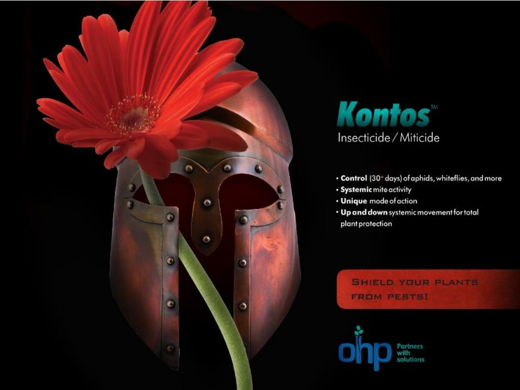 PPT - What is a Kontos? PowerPoint Presentation, free download - ID:353414