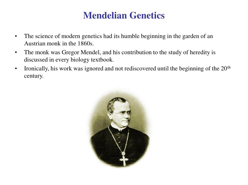PPT - Mendelian Genetics PowerPoint Presentation, free download - ID:353460