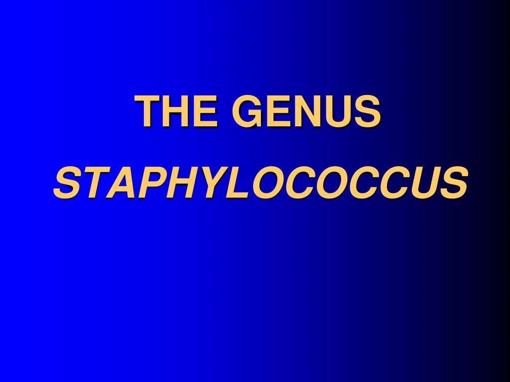 PPT - THE GENUS STAPHYLOCOCCUS PowerPoint Presentation, free download - ID:353668