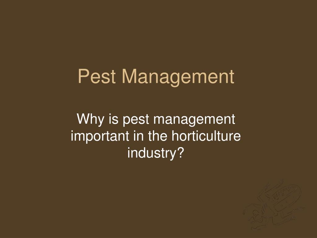 PPT - Pest Management PowerPoint Presentation, free download - ID:354081