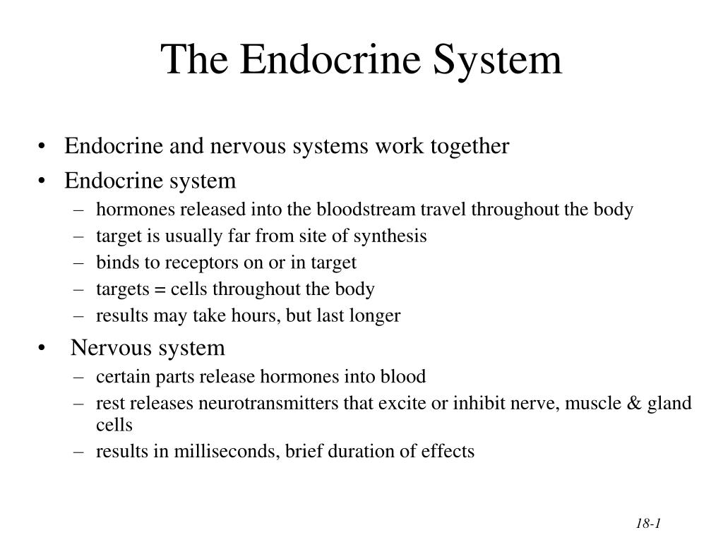 PPT - The Endocrine System PowerPoint Presentation, free download - ID ...
