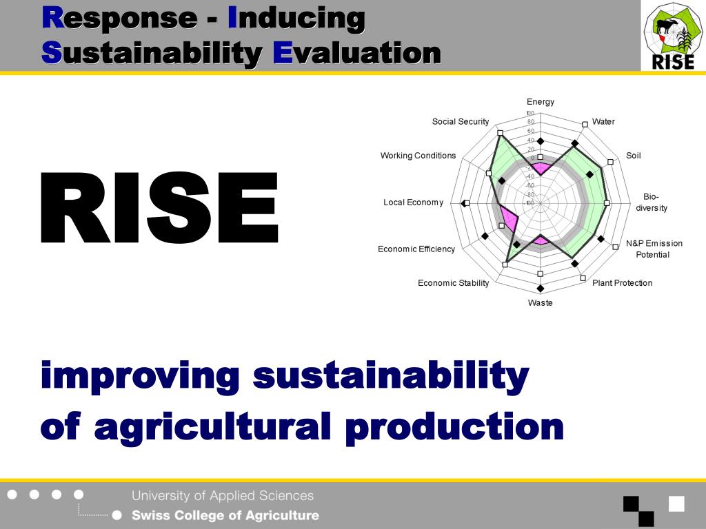 PPT - RISE PowerPoint Presentation, free download - ID:35551