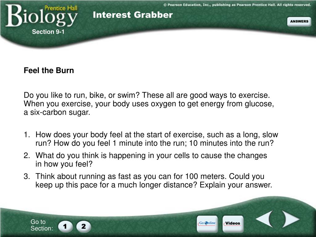 PPT - Interest Grabber PowerPoint Presentation, free download - ID:357150