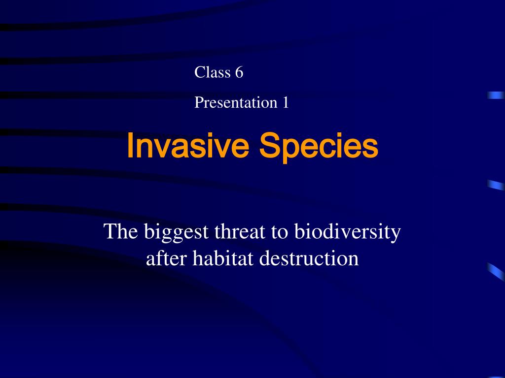 PPT - Invasive Species PowerPoint Presentation, free download - ID:357228