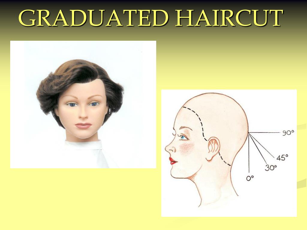 PPT - GRADUATED HAIRCUT PowerPoint Presentation, free download - ID:357355