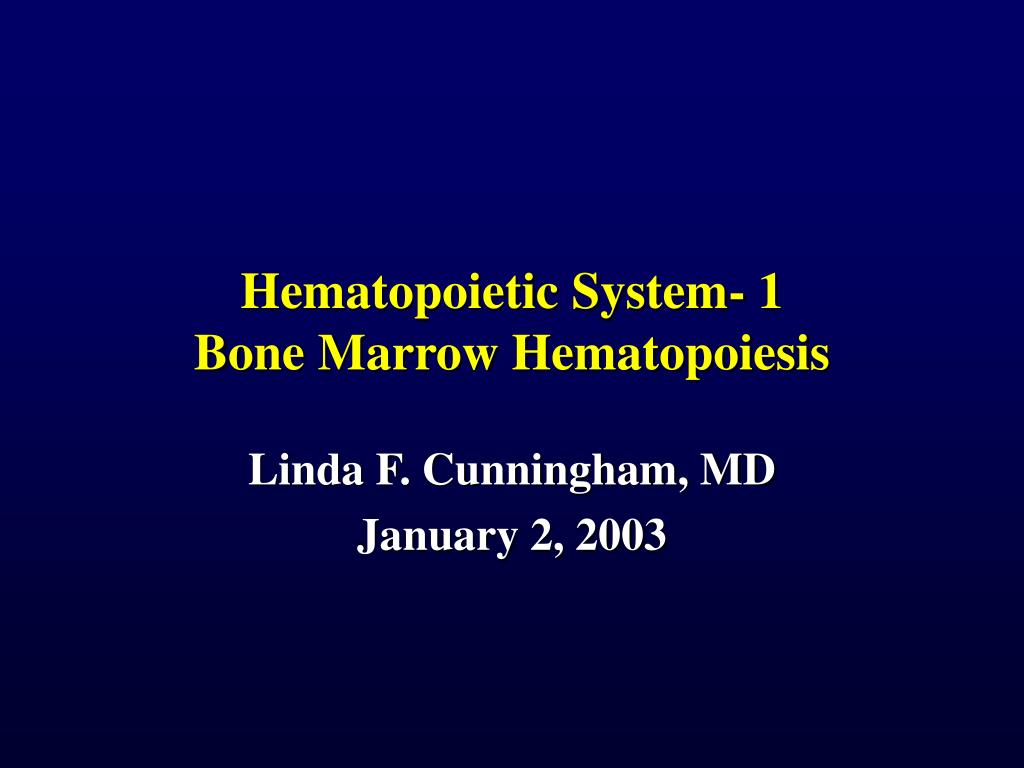 PPT - Hematopoietic System- 1 Bone Marrow Hematopoiesis PowerPoint ...