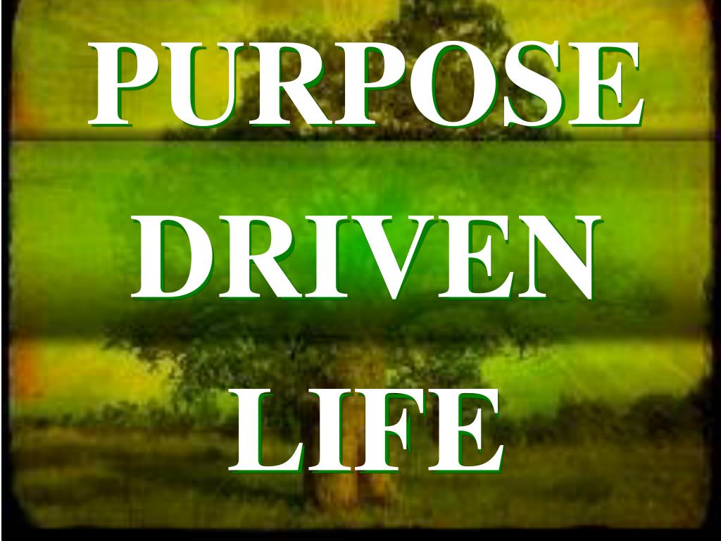 PPT - PURPOSE DRIVEN LIFE PowerPoint Presentation, free download - ID ...
