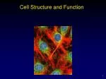 PPT - Cell Structure & Function PowerPoint Presentation, free download - ID:5128250