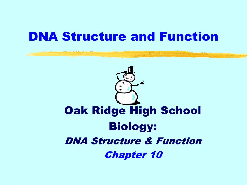 PPT - DNA Structure and Function PowerPoint Presentation, free download ...