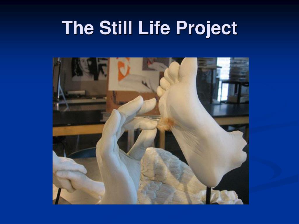 PPT - The Still Life Project PowerPoint Presentation, free download ...
