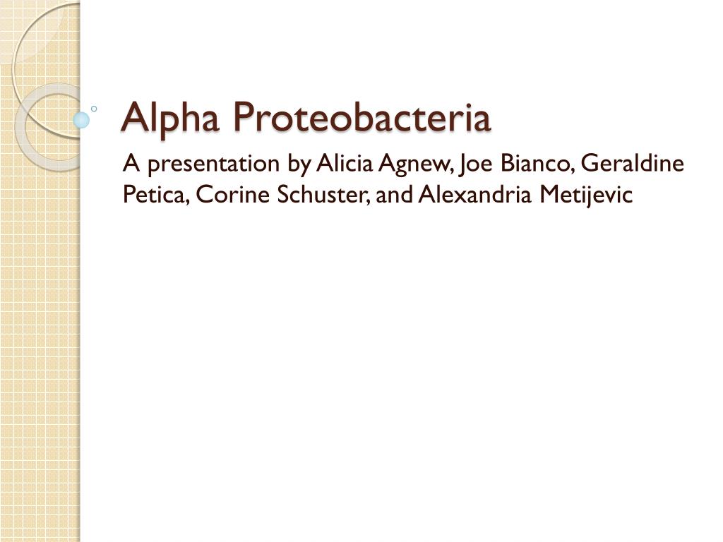 PPT - Alpha Proteobacteria PowerPoint Presentation, free download - ID ...