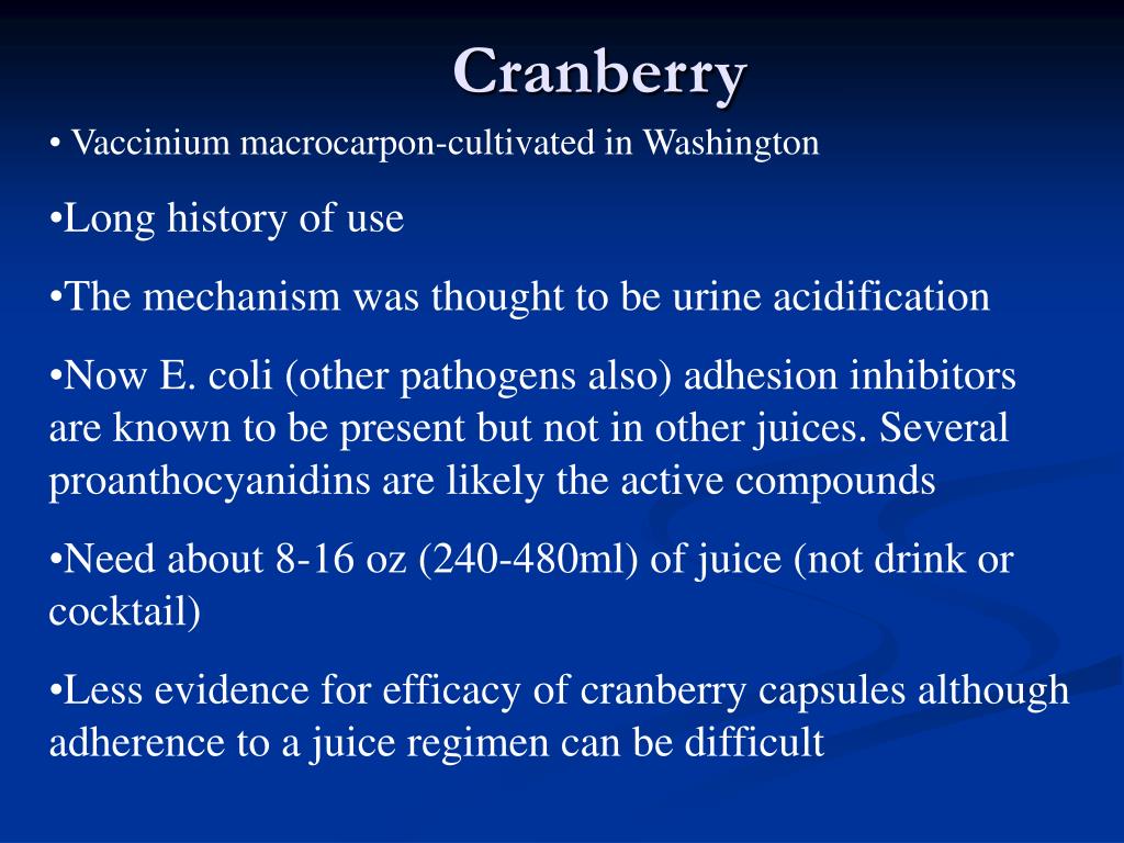 PPT - Cranberry PowerPoint Presentation, free download - ID:367483