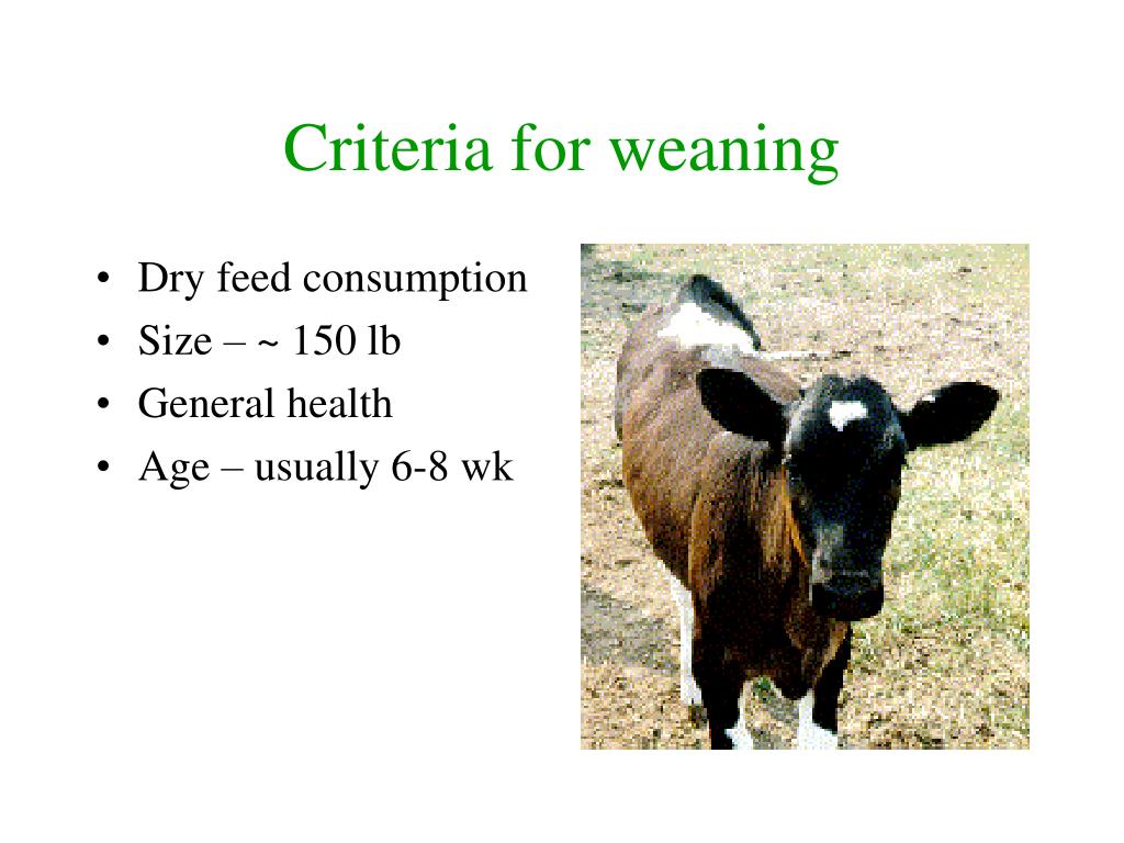 PPT - Criteria for weaning PowerPoint Presentation, free download - ID ...