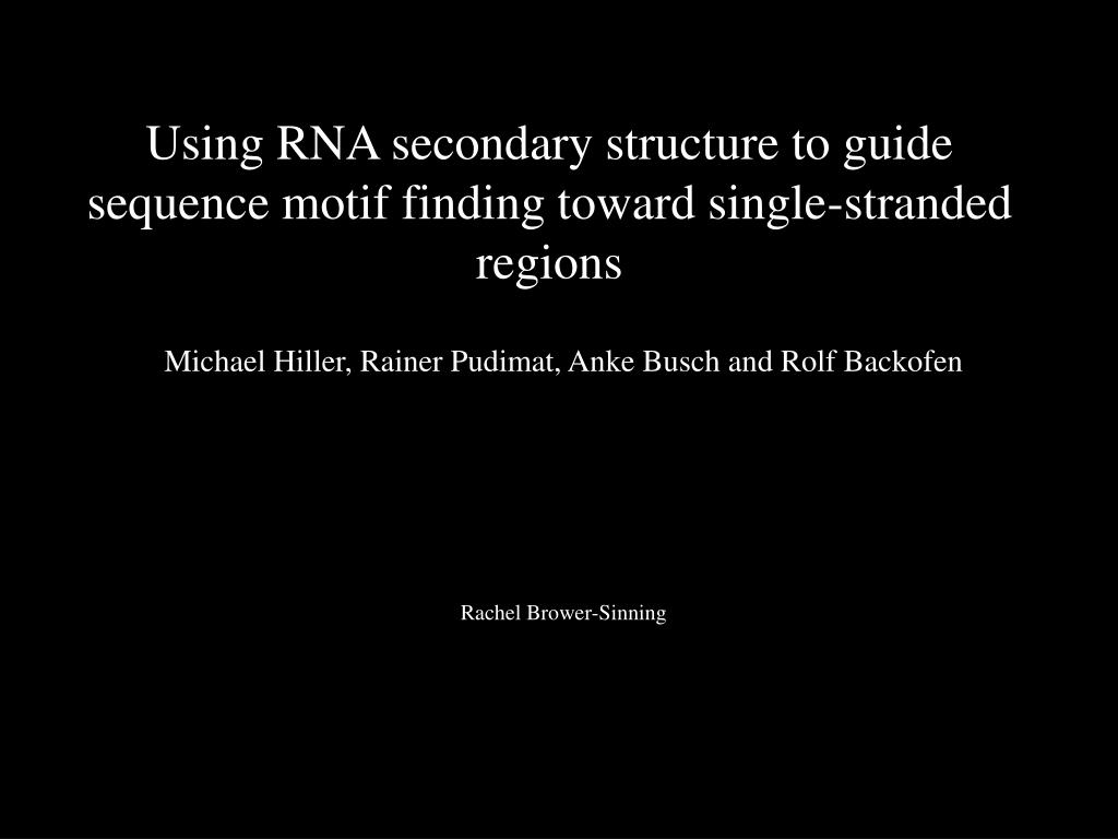 PPT - Using RNA secondary structure to guide sequence motif finding toward single-stranded ...